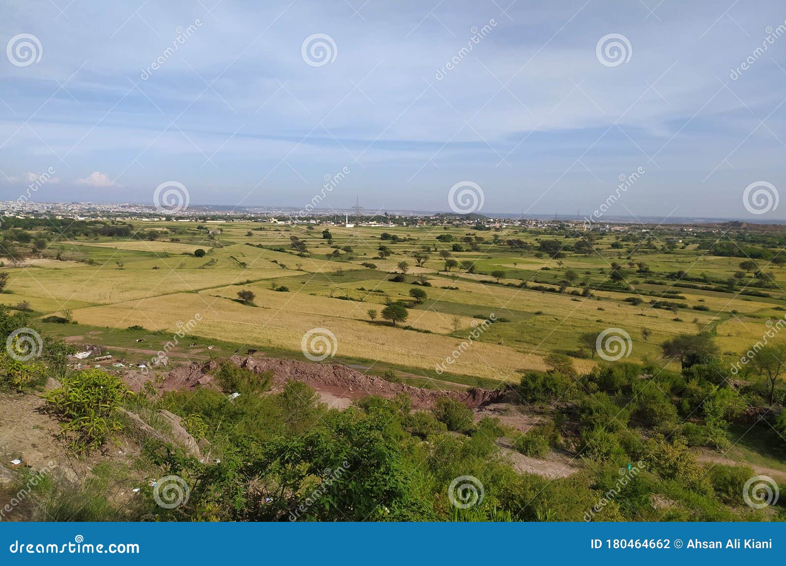 Landscape stock photo. Image of greenaery, wheat, landscape - 180464662