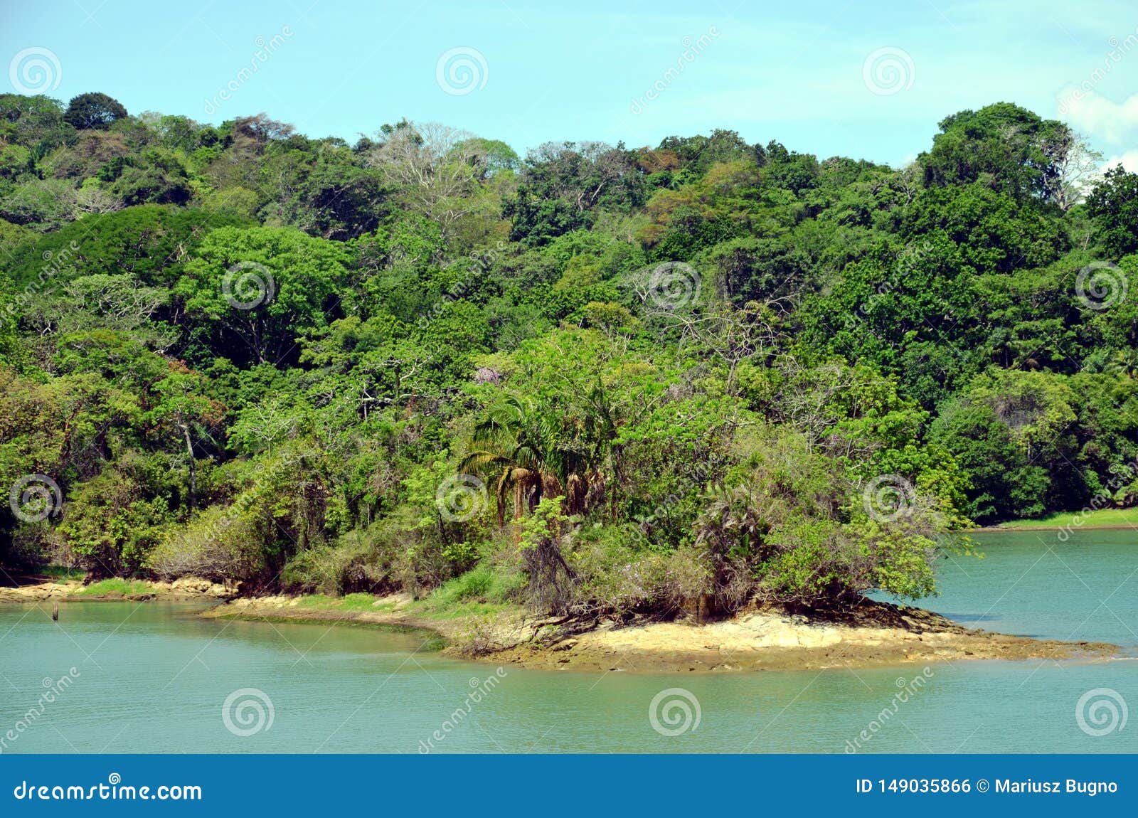 Landscape of the Panama Canal. Stock Photo - Image of green, pond ...