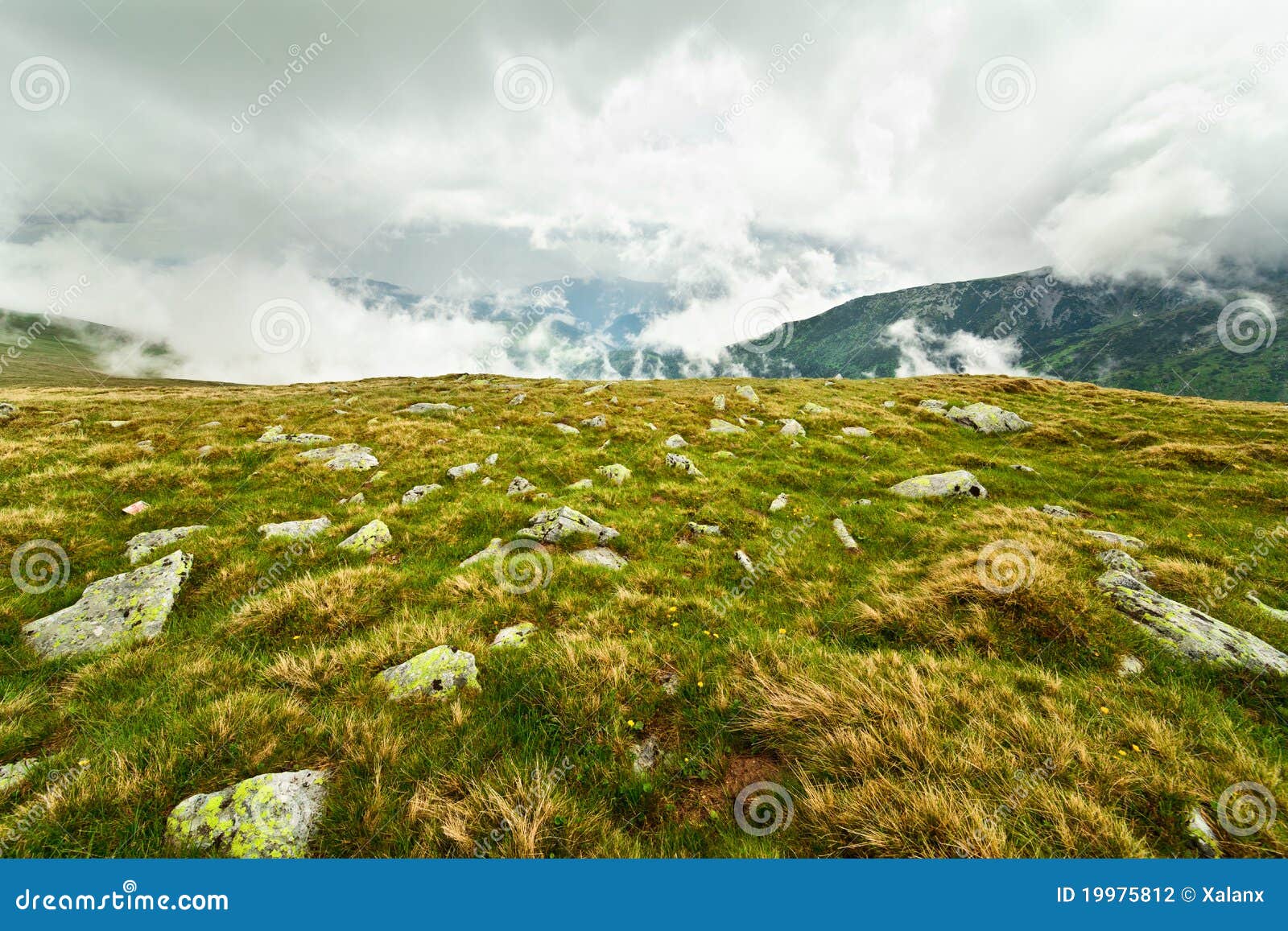 Landscape with Parang Mountains in Romania Stock Photo - Image of pine ...