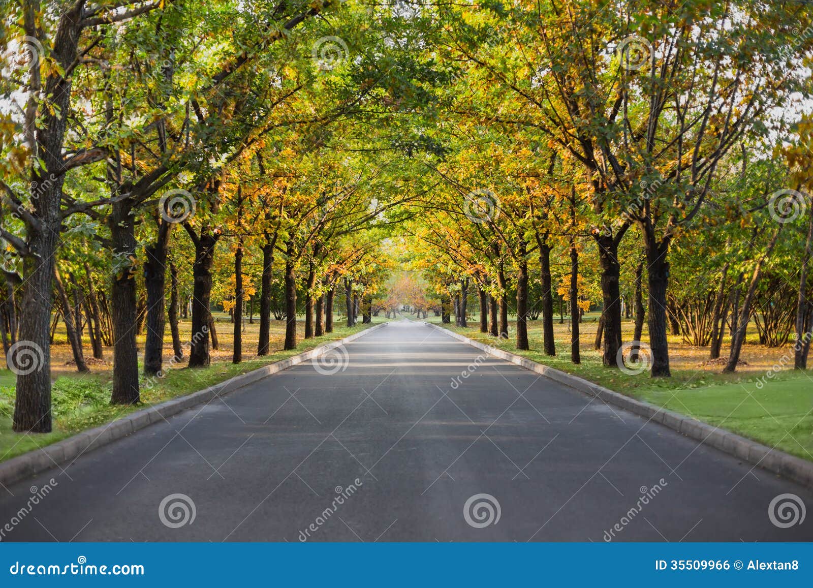 Landscape Park Allee Nature Stock Photo - Image of park, foliage: 35509966