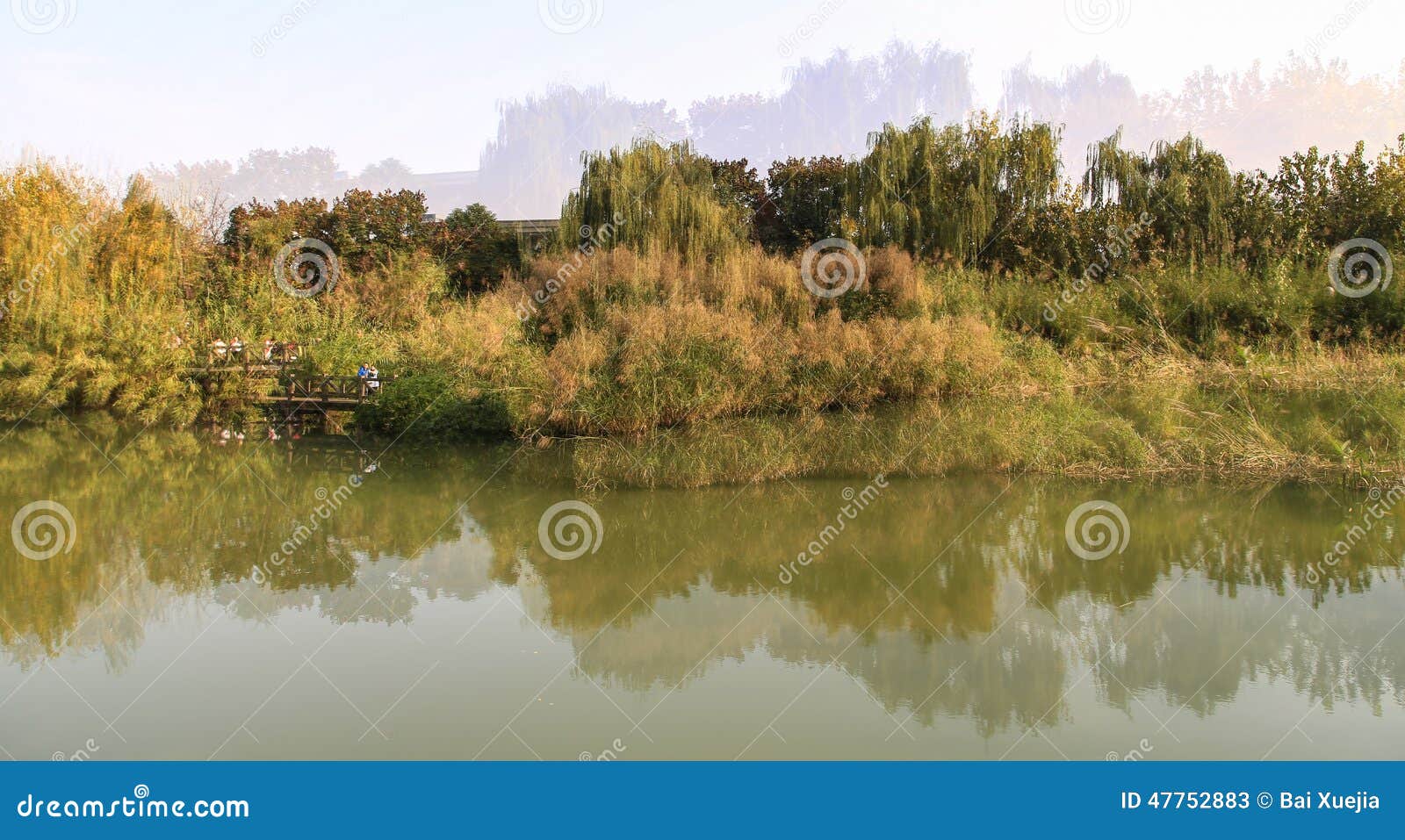 The Landscape in the Park,chengdu,china Stock Image - Image of china ...