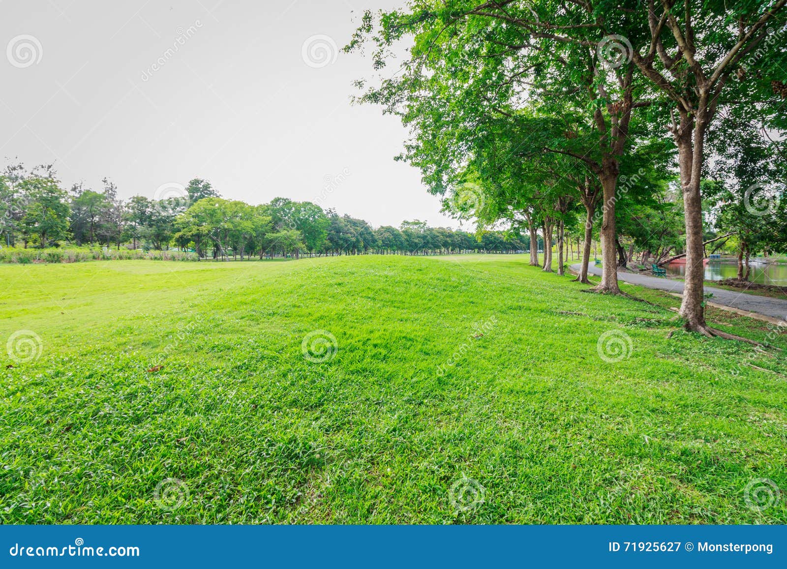 The Landscape Park and Grass in City Stock Image - Image of outdoor ...