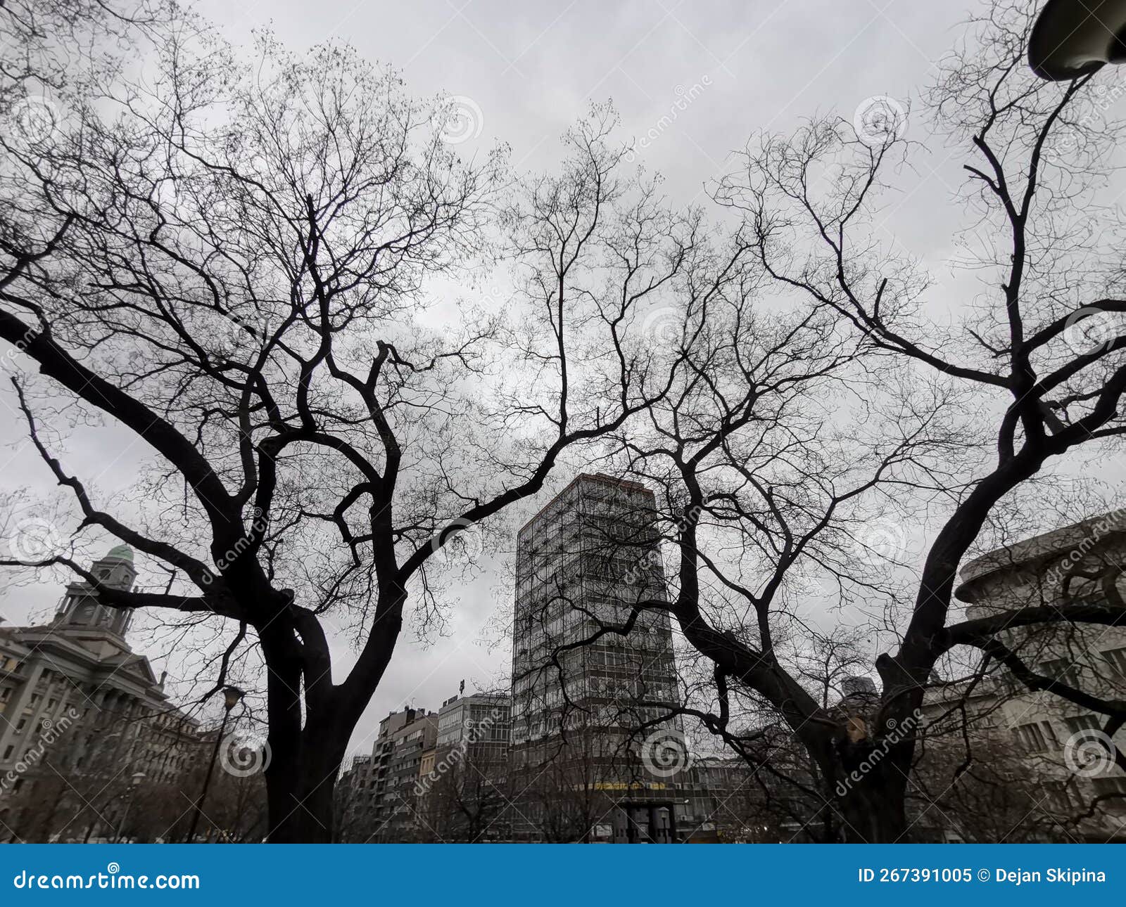 Landscape Park Woods Contrast Cityscape Stock Image - Image of winter ...