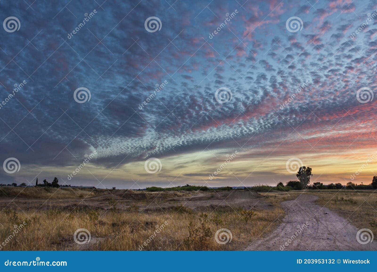 Landscape of the Pathway Under a Cloudy Sky during a Breathtaking ...