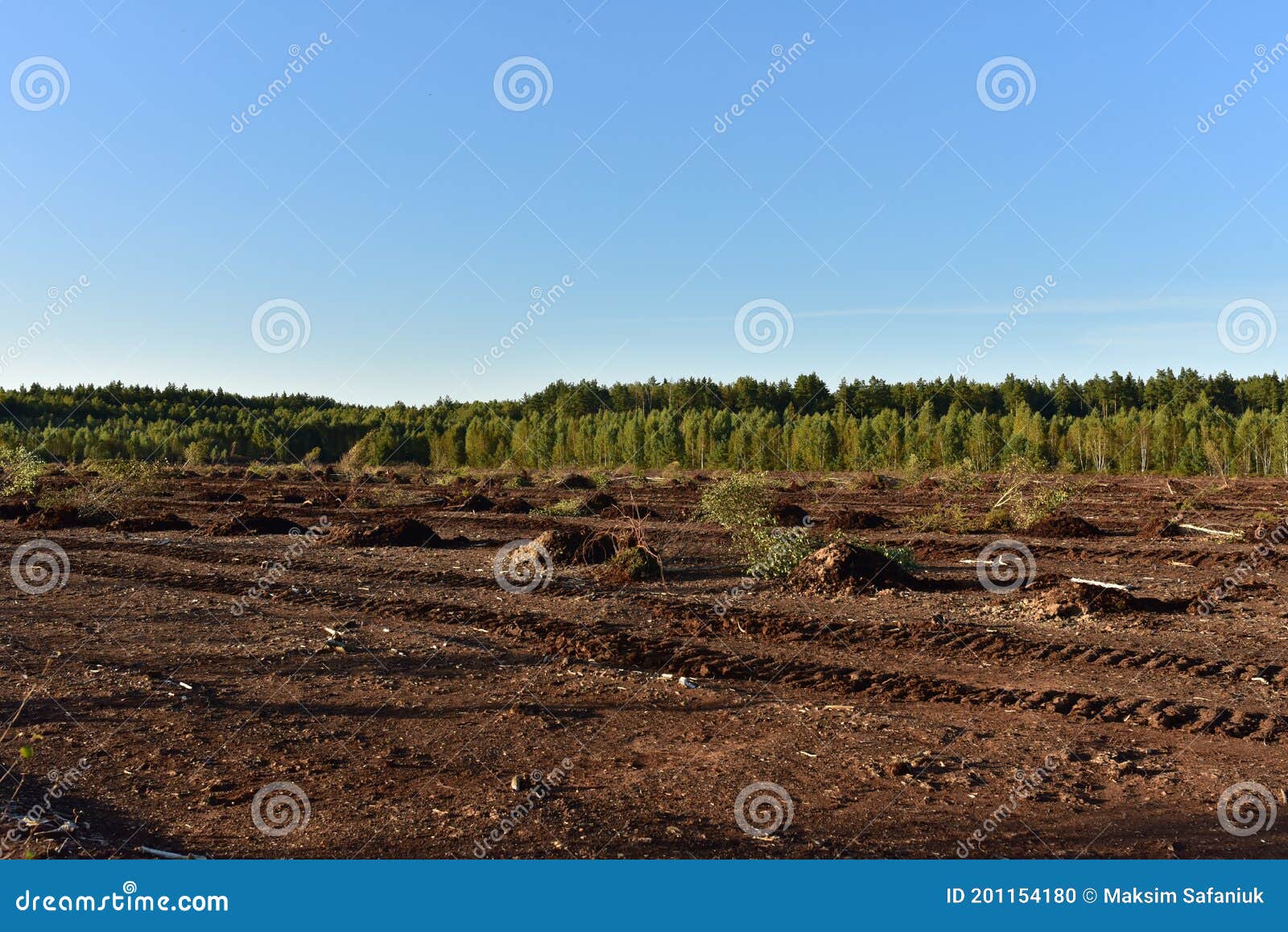 Landscape On Peatlands Where Being Development Of The Peat On Sunset ...