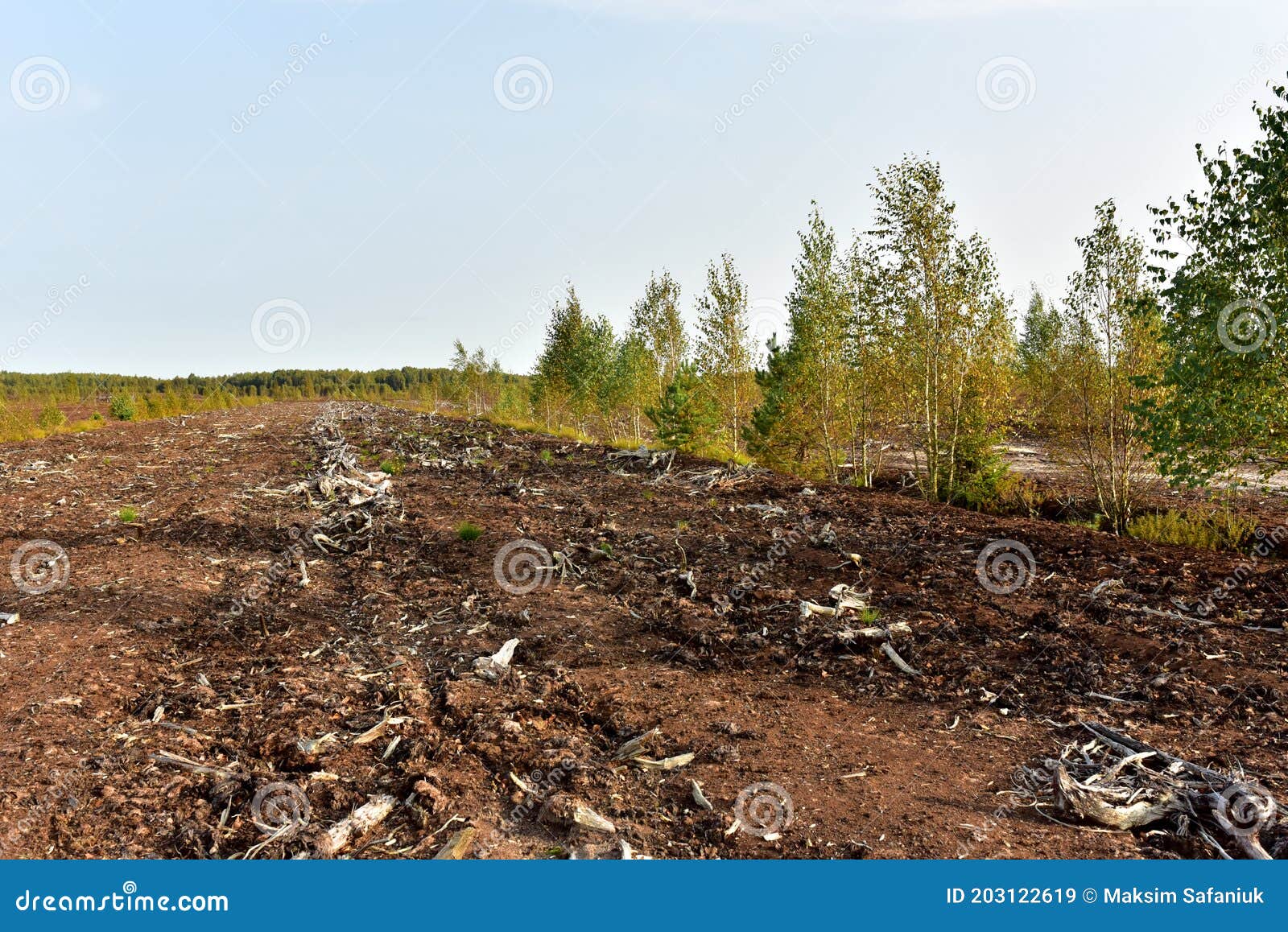 Landscape on Peatlands Where Being Development of the Peat. Drainage of ...