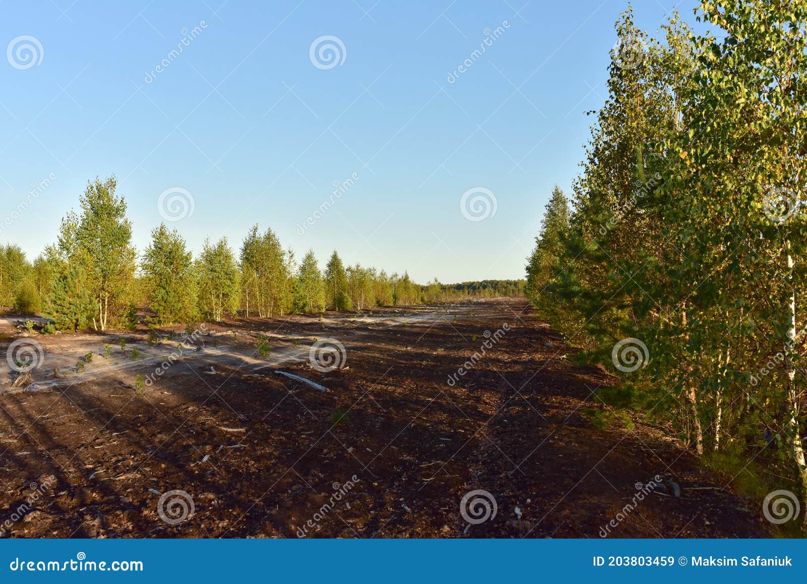 Landscape on Peatlands Where Being Development of the Peat. Drainage of ...