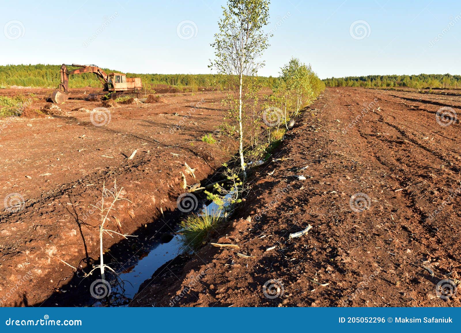 Landscape on Peatlands Where Being Development of the Peat. Drainage of ...