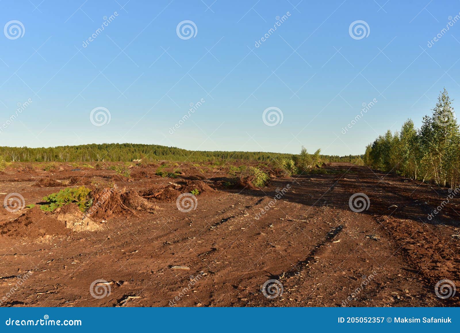 Landscape on Peatlands Where Being Development of the Peat. Drainage of ...