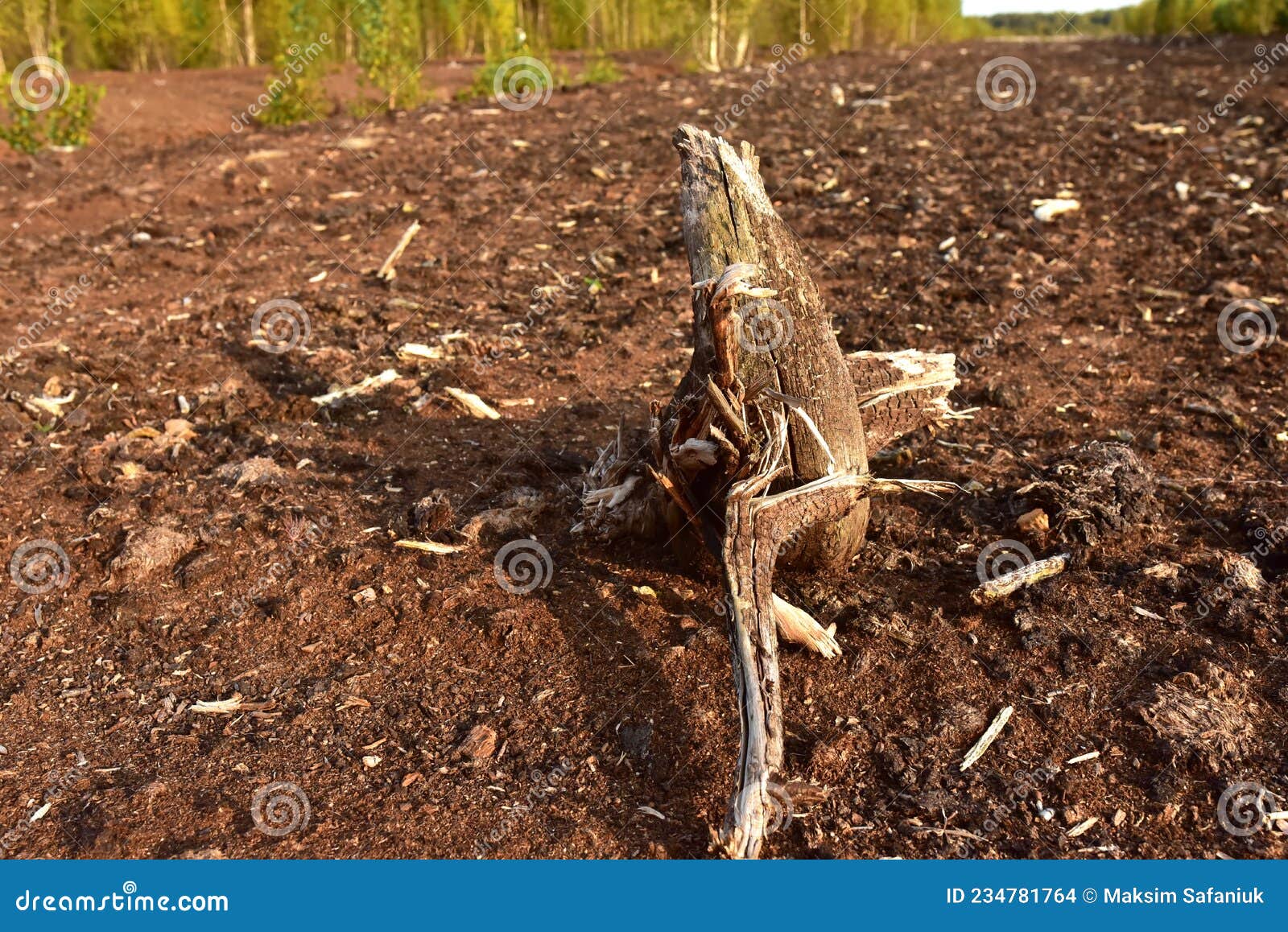 Landscape on Peatlands Where Being Development of the Peat. Drainage of ...