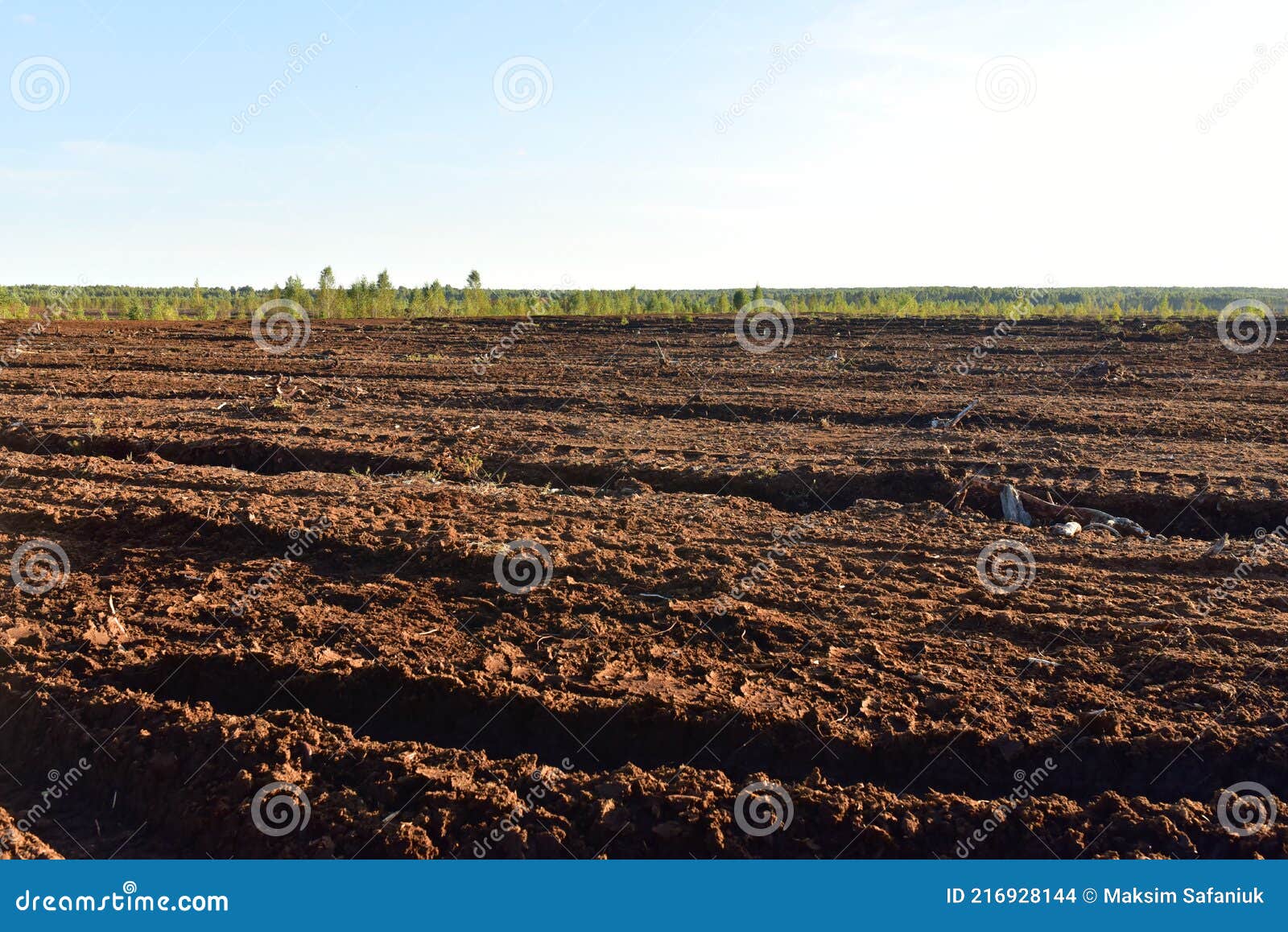 Landscape on Peatlands Where Being Development of the Peat. Drainage of ...