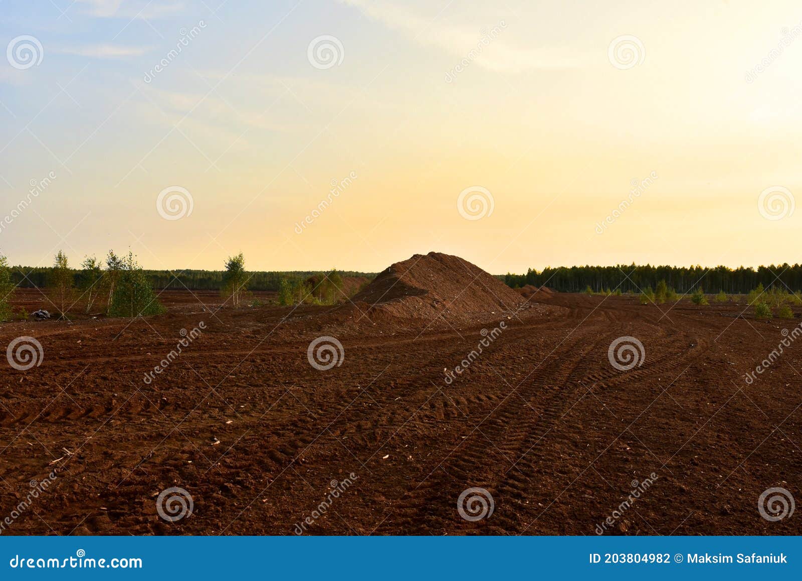 Landscape on Peatlands Where Being Development of the Peat on Sunset ...