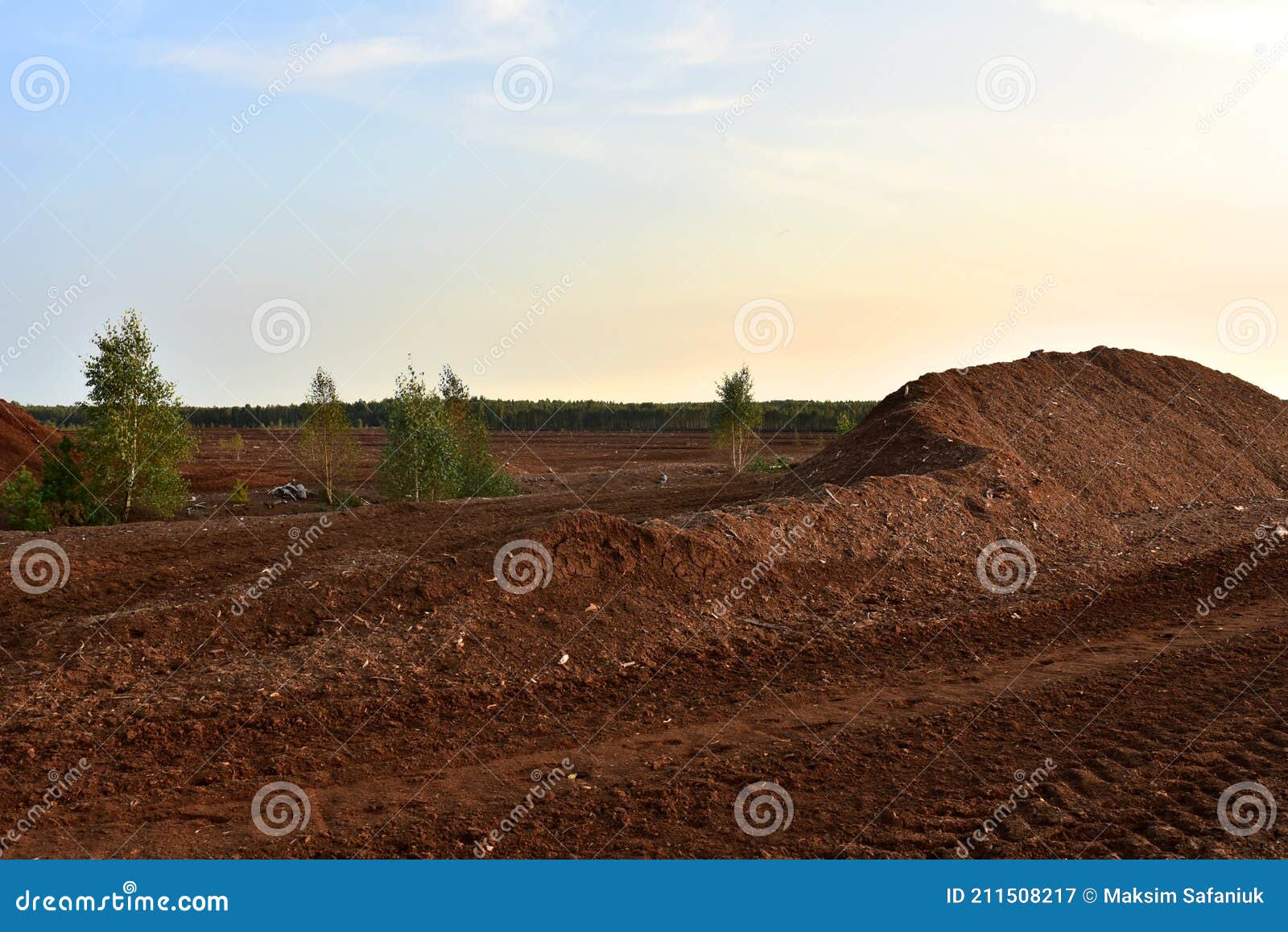 Landscape on Peatlands Where Being Development of the Peat on Sunset ...