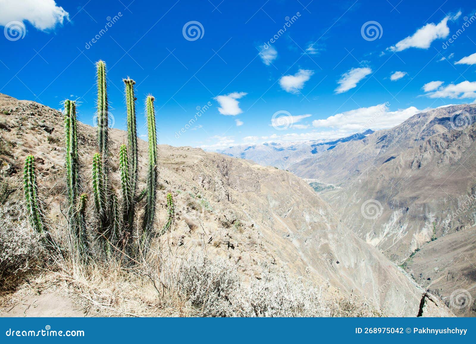 Landscape Peru stock photo. Image of canyon, landscape - 268975042