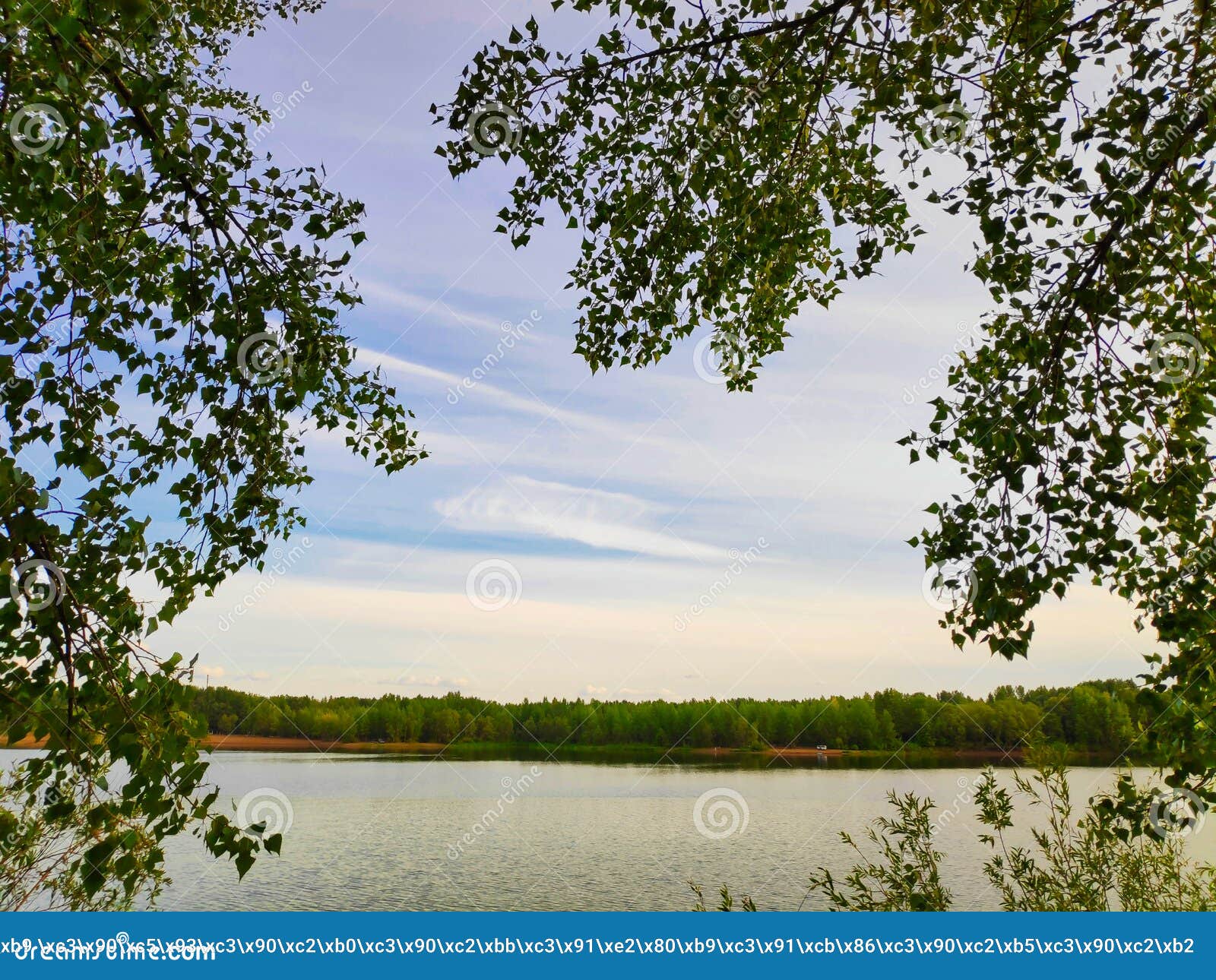 Landscape Photo with Tree Branches in the Foreground and a Lake Surface ...
