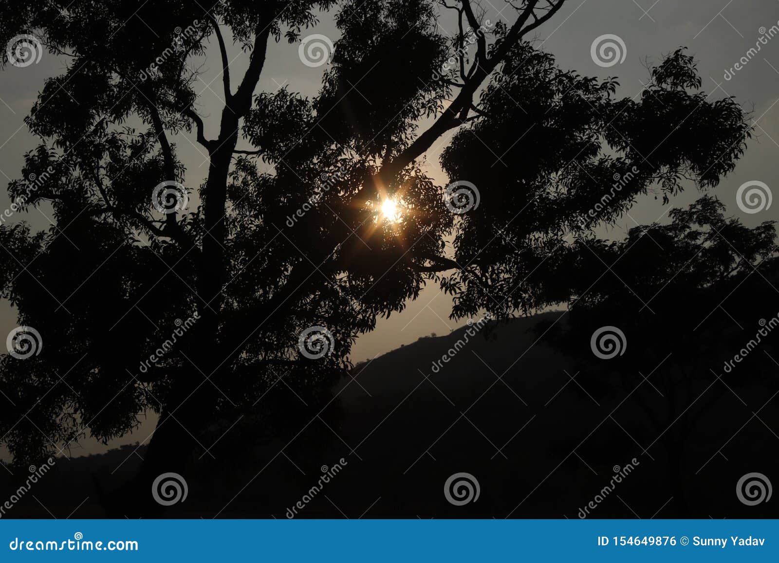 Landscape Photography, Sunset, Tree, Beautiful Nature Stock Photo ...