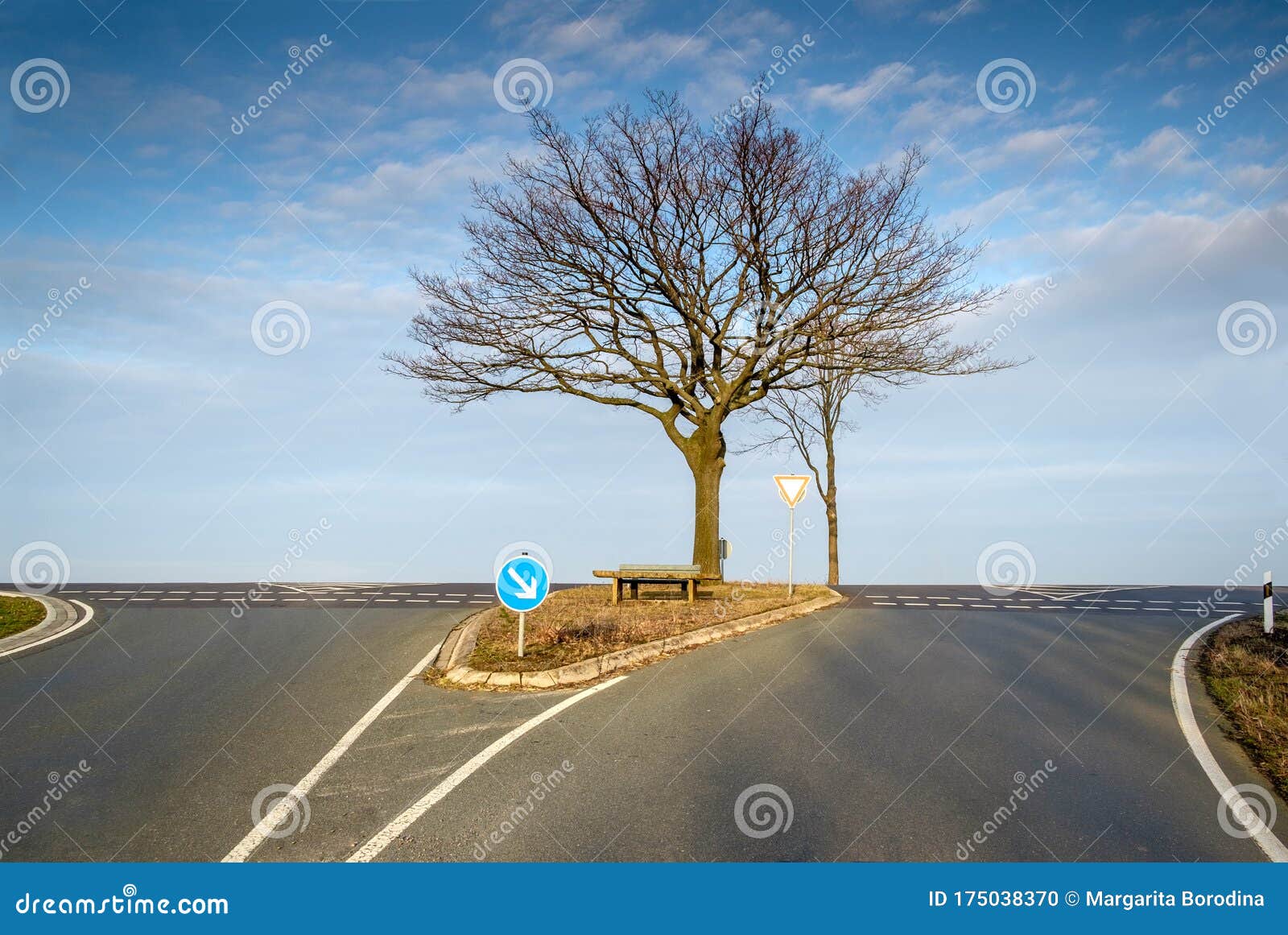 Landscape Picture with a Single Tree in Middle of the Asphalt ...