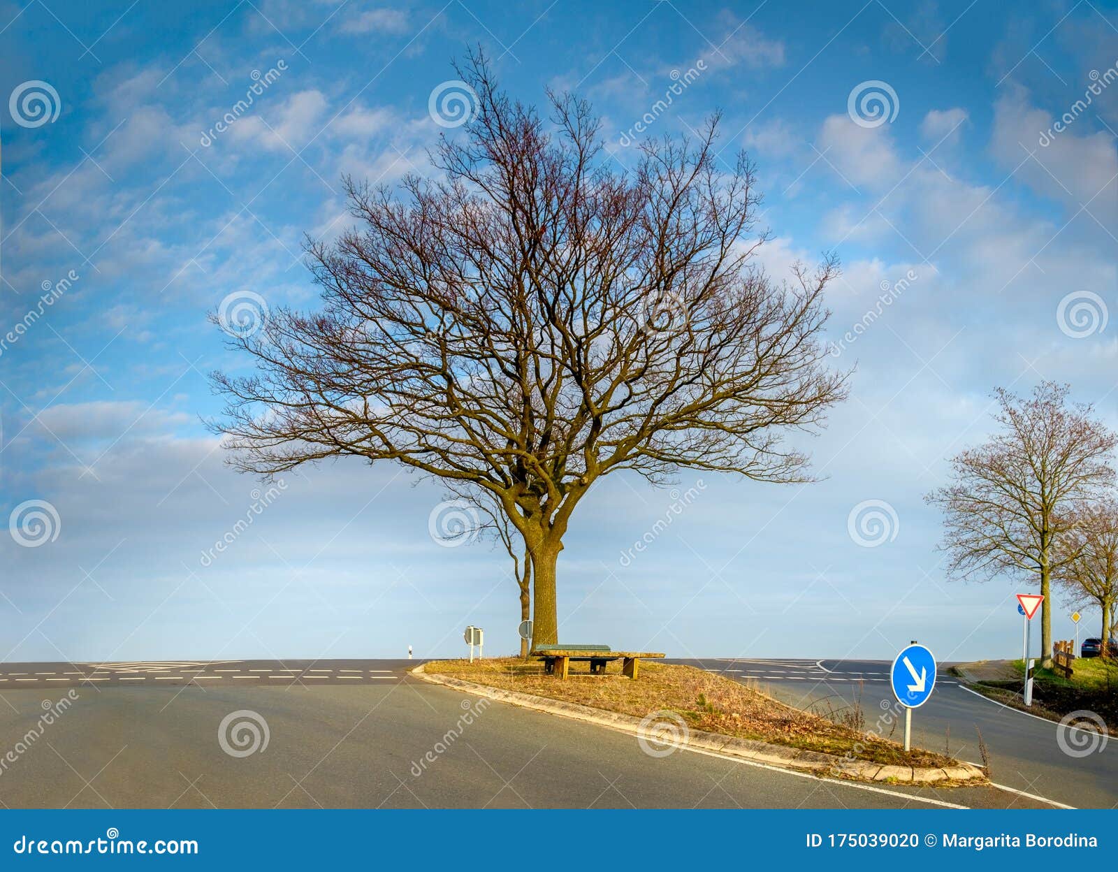 Landscape Picture with a Single Tree in Middle of the Asphalt ...