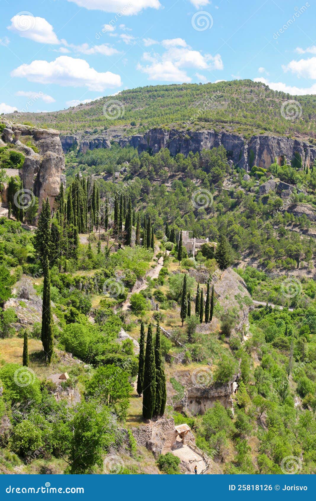 Landscape with pine trees stock photo. Image of pine - 25818126