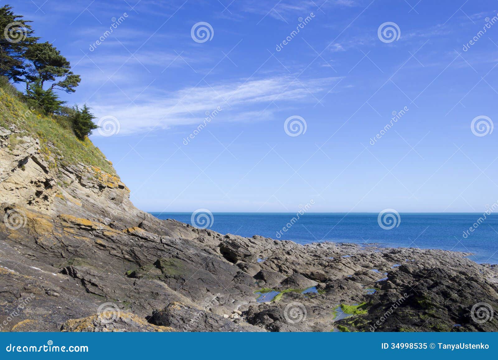 Landscape with a Pine Trees on a Cliff Stock Image - Image of nature ...