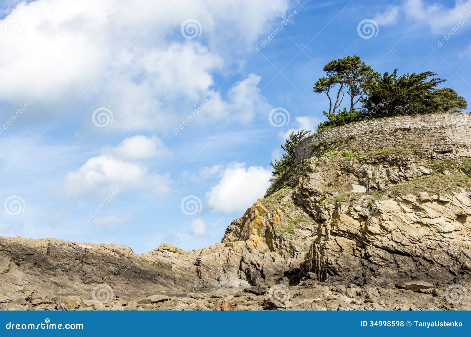 Landscape with a Pine Trees on a Cliff Stock Photo - Image of beauty ...