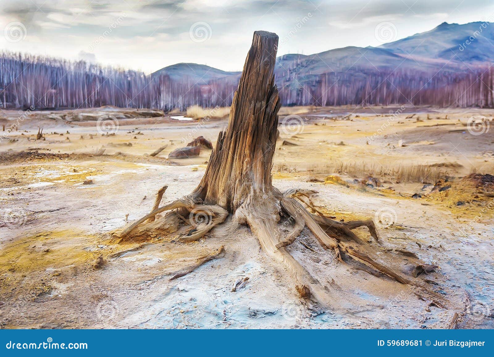 Landscape Poisoned with Toxic Waste Stock Image - Image of cloud, river ...