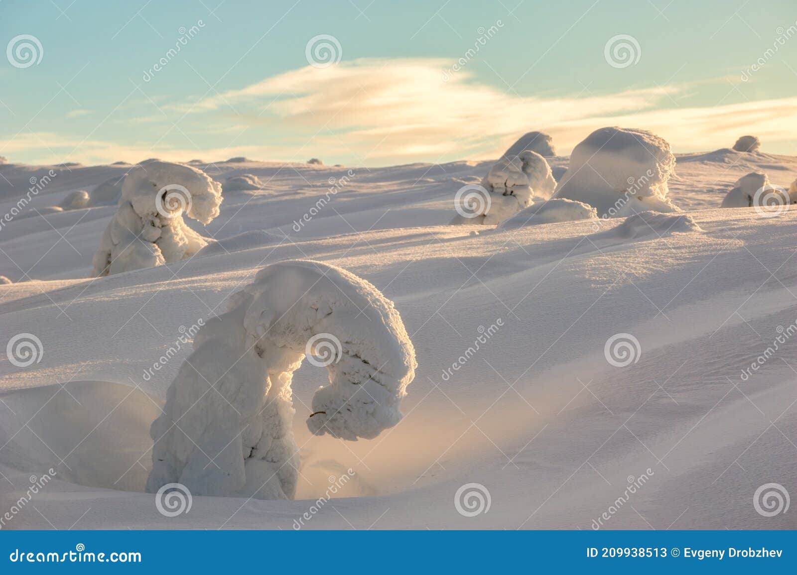 Landscape in polar forest stock image. Image of frozen - 209938513