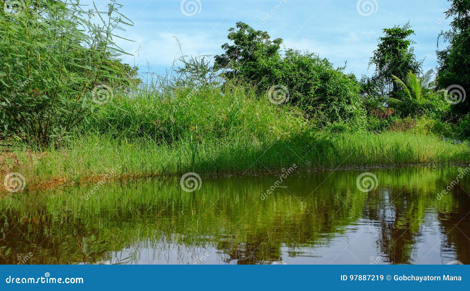 Landscape of Pond in Countryside Stock Image - Image of farm, water ...