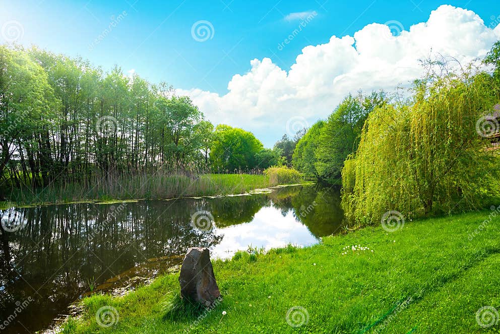Landscape pond and field stock image. Image of shore - 178030637