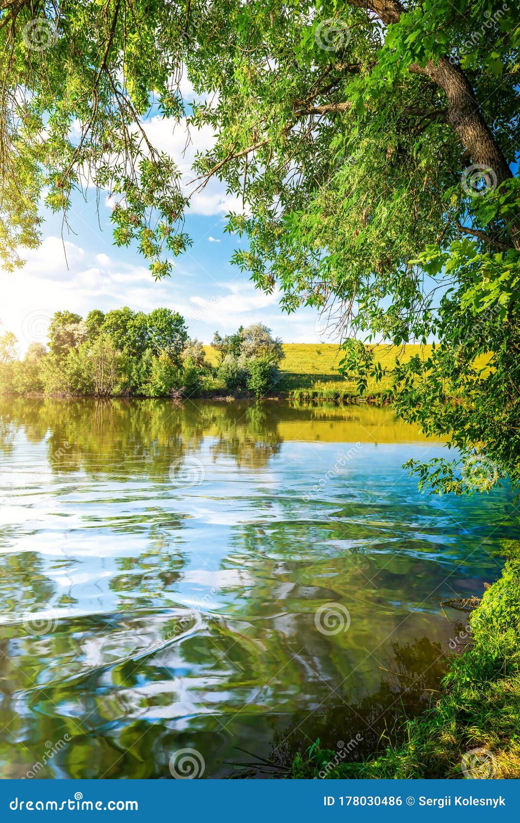Landscape pond and forest stock photo. Image of shore - 178030486