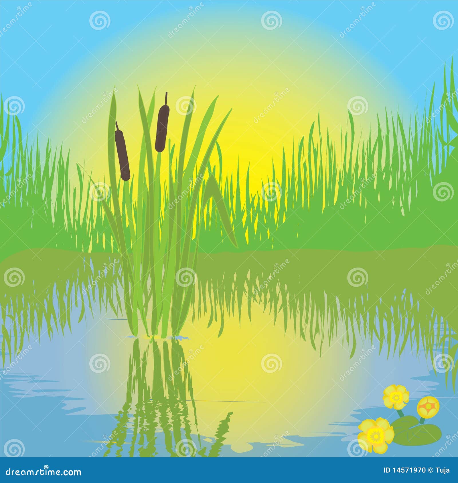 Bulrush Cartoons, Illustrations & Vector Stock Images - 2350 Pictures ...