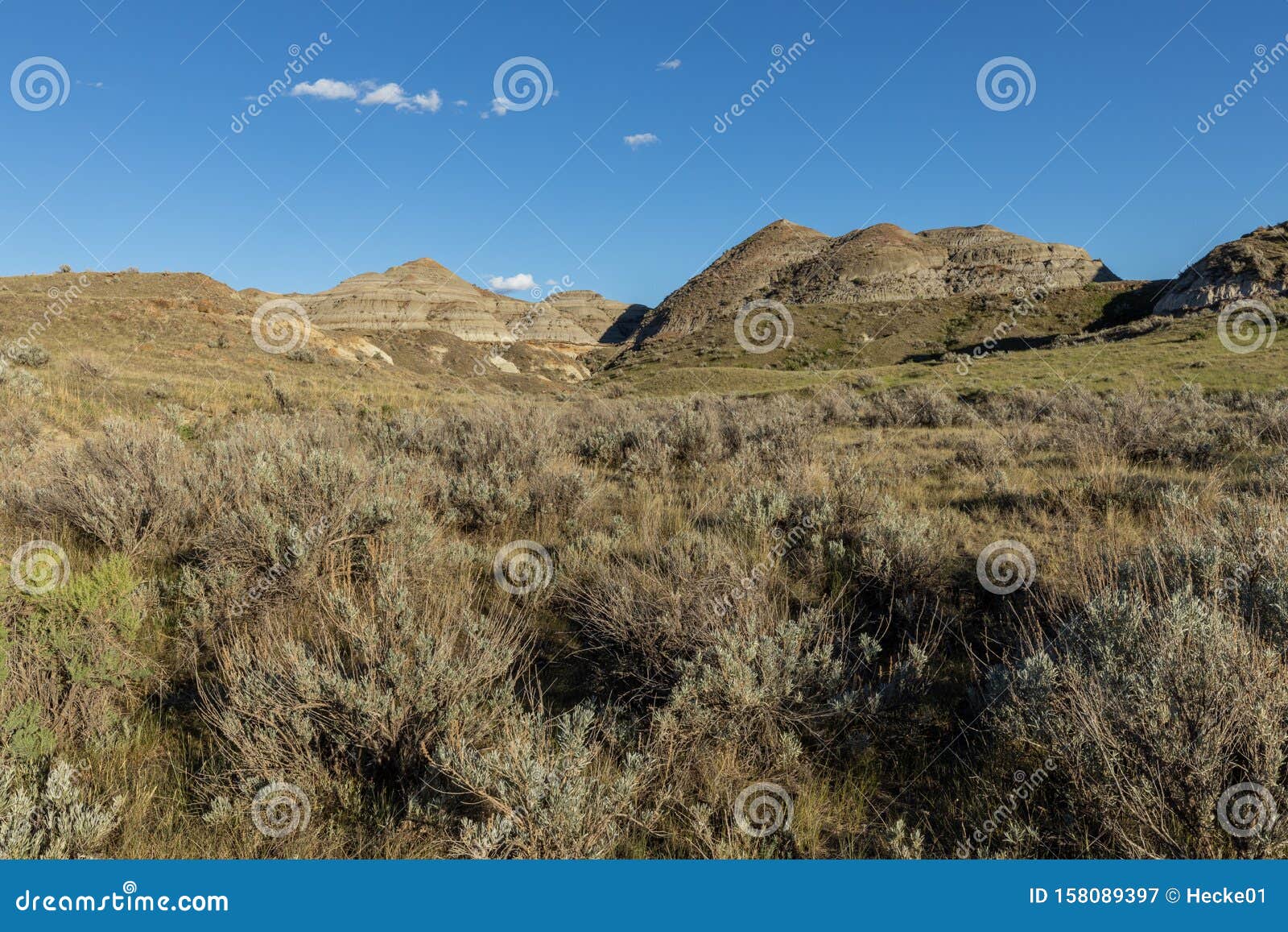 Landscape of the Prairie at Drumheller Alberta in Canada Stock Image ...