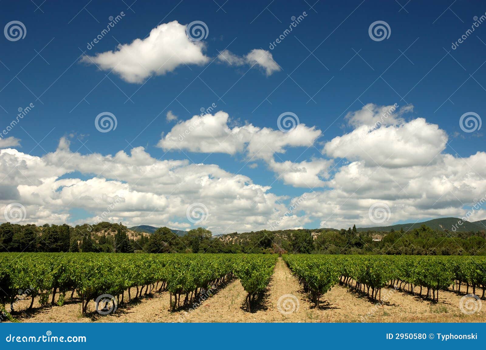 Landscape in Provence, France Stock Photo - Image of architecture ...