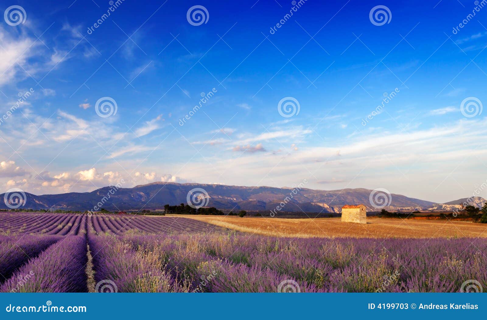 Landscape in Provence, France Stock Image - Image of aroma, mountains ...