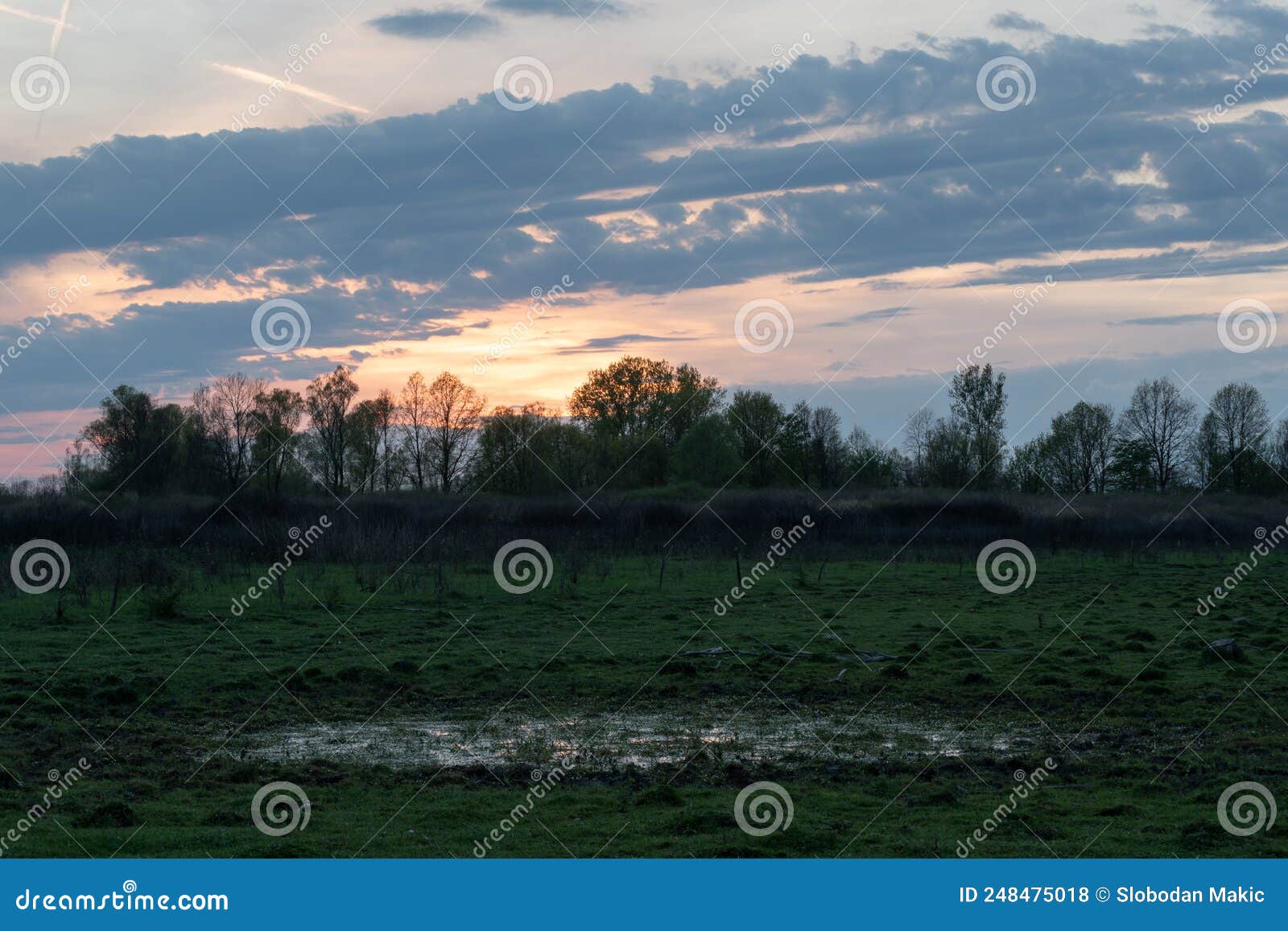 Landscape with Puddle in Grassland during Sunset Stock Photo - Image of ...