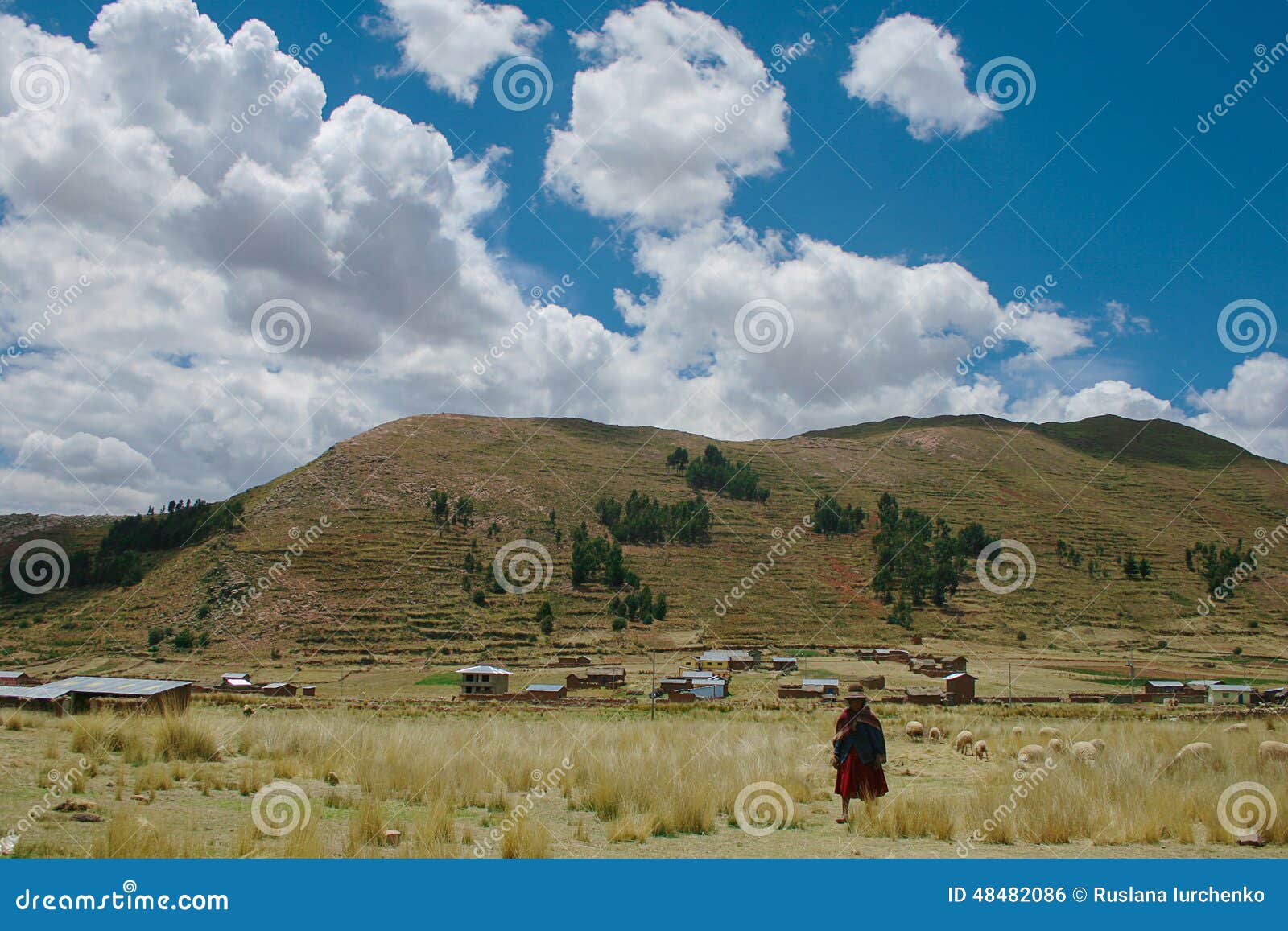 Landscape Puno stock photo. Image of chilean, aymara - 48482086