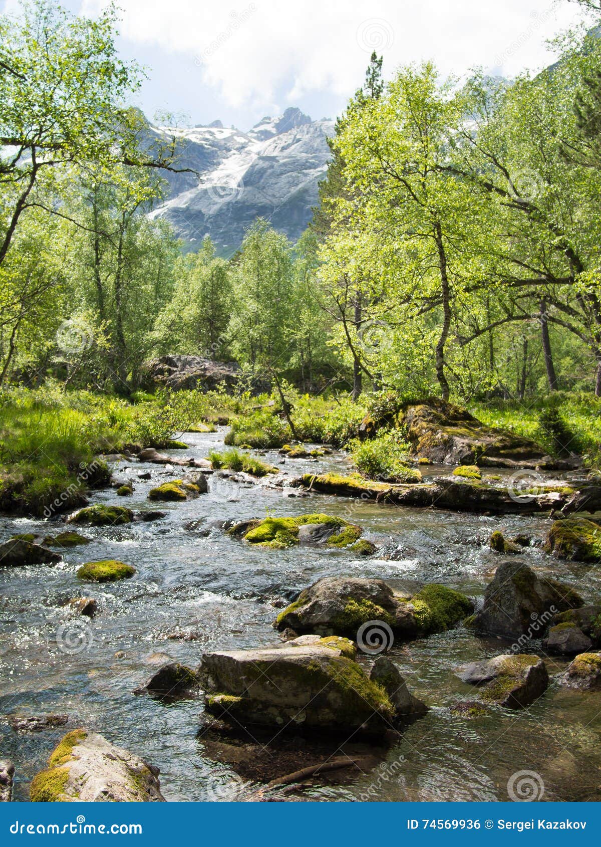 Landscape Pure Stream with Rocks in the Moss Stock Photo - Image of ...