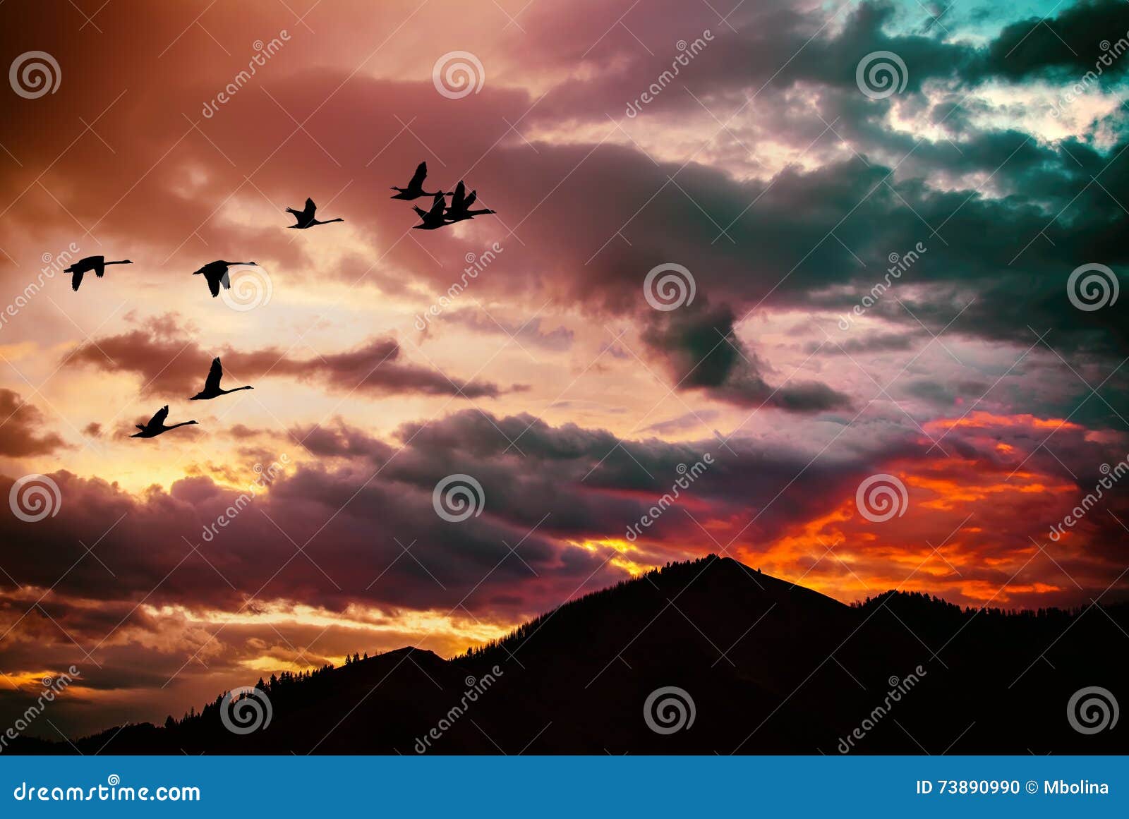 Landscape during Purple Sunset with Flying Birds Stock Photo - Image of ...