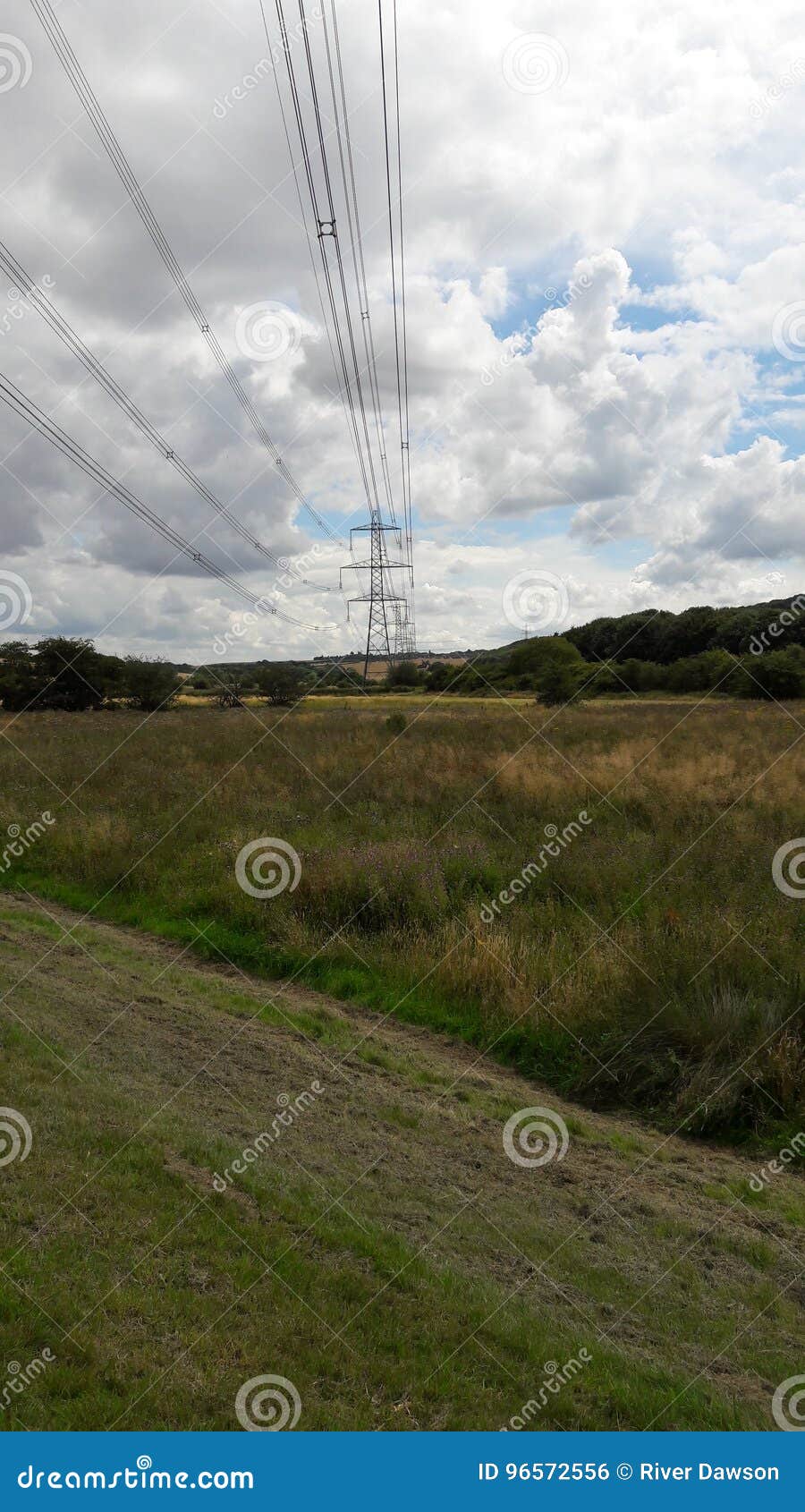 Landscape with pylons. stock photo. Image of fields, pylons - 96572556