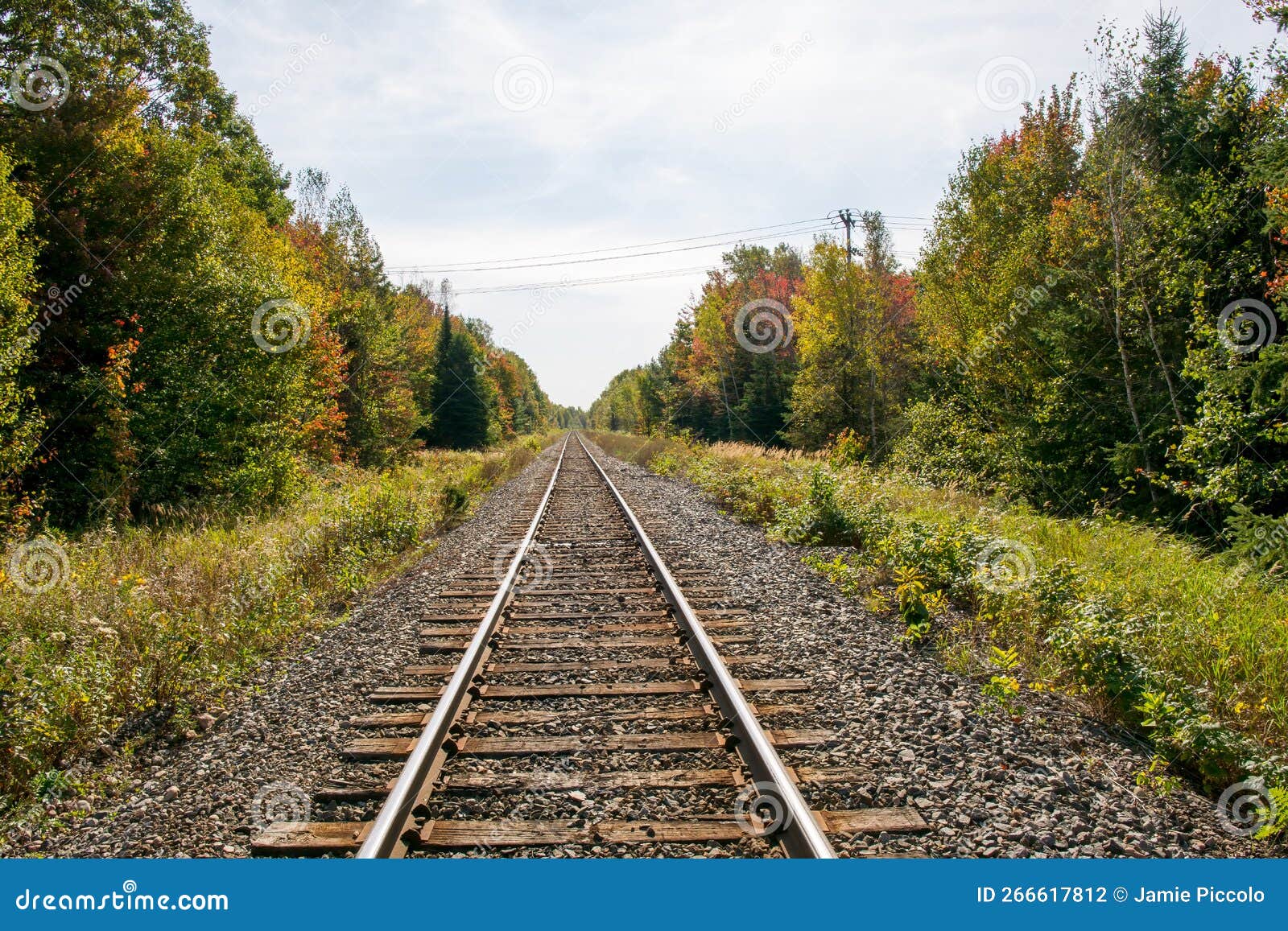 Landscape rail tracks stock photo. Image of transport - 266617812