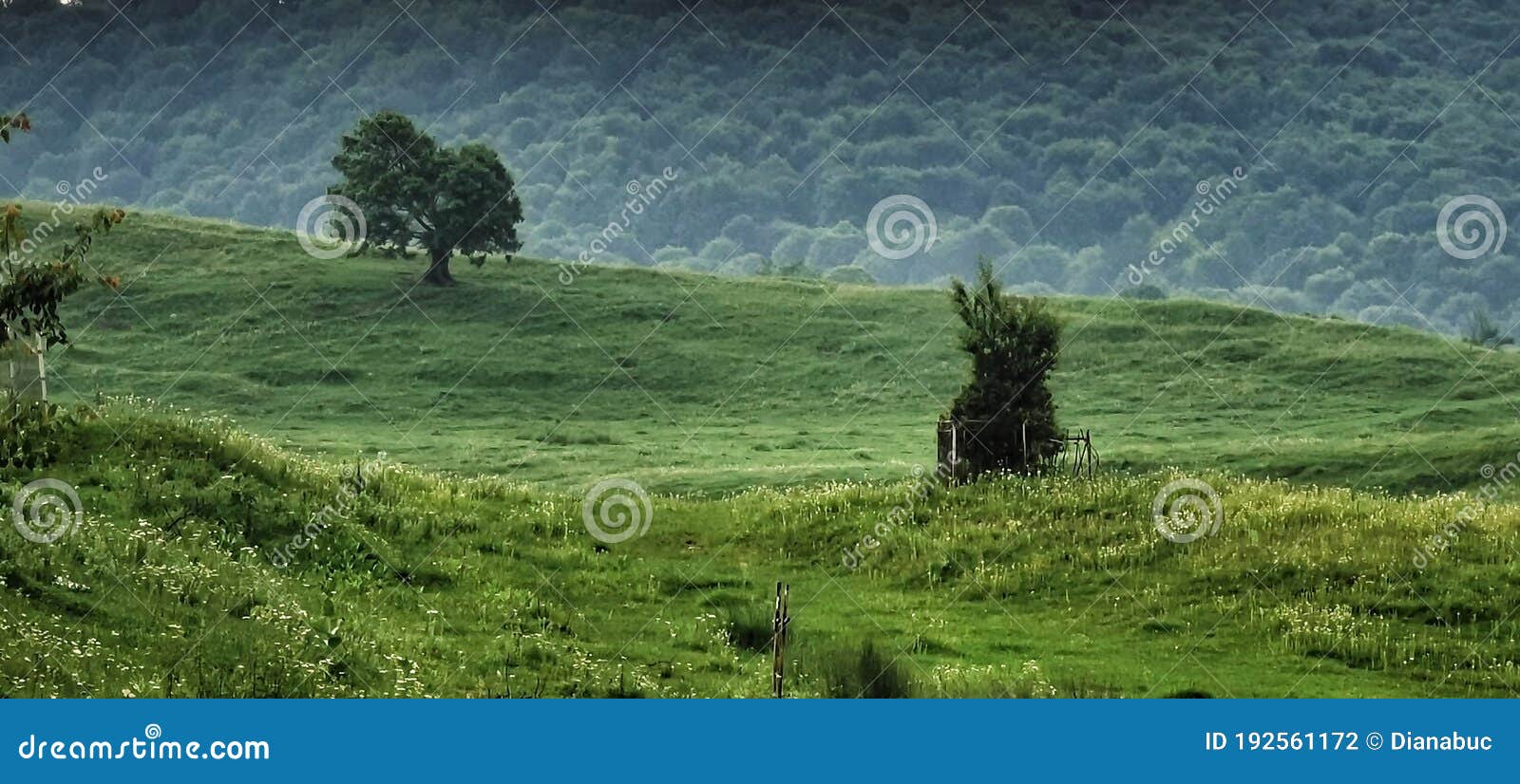 Landscape after rain stock photo. Image of plateau, prairie - 192561172