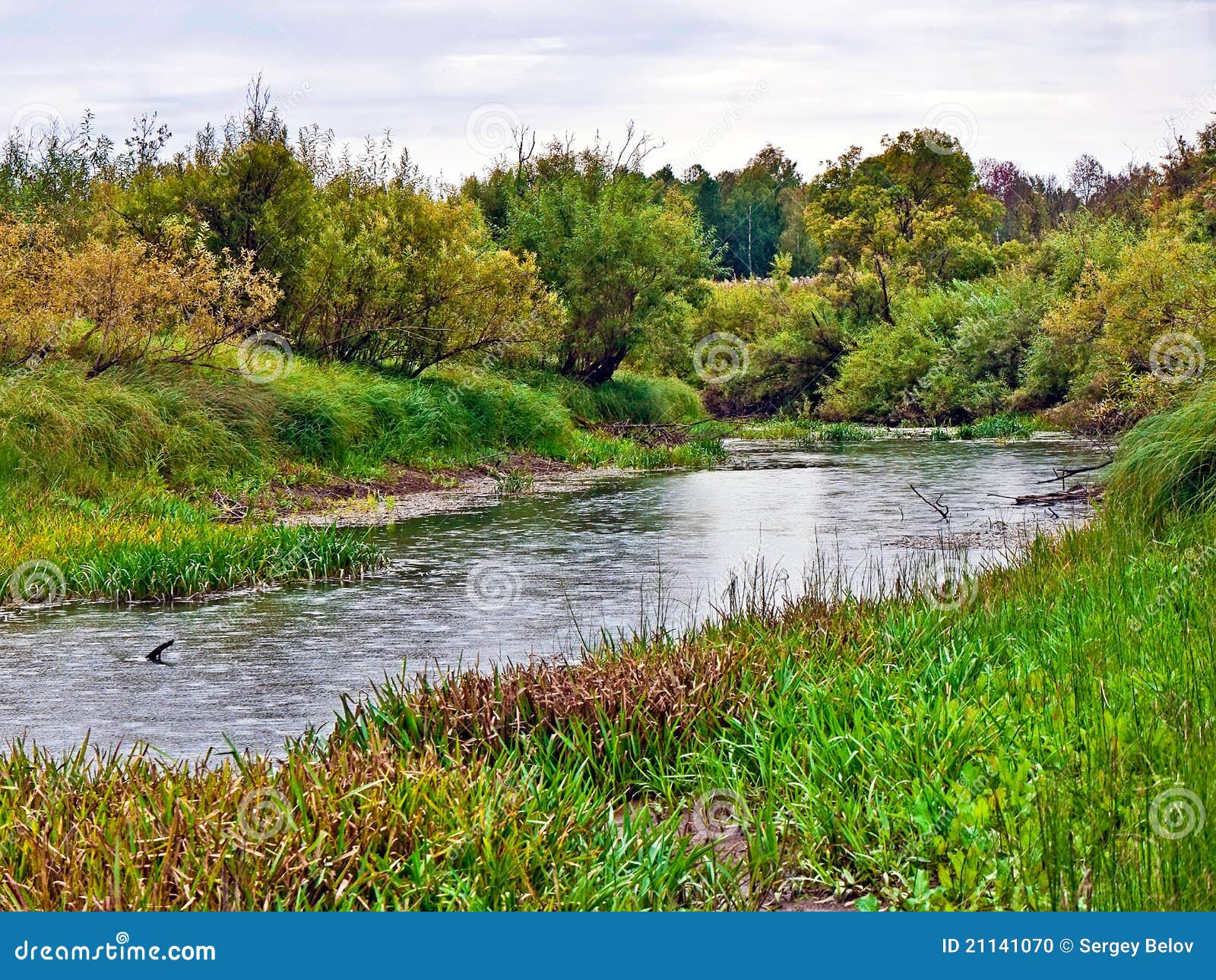 Landscape with Rain stock photo. Image of green, rain - 21141070