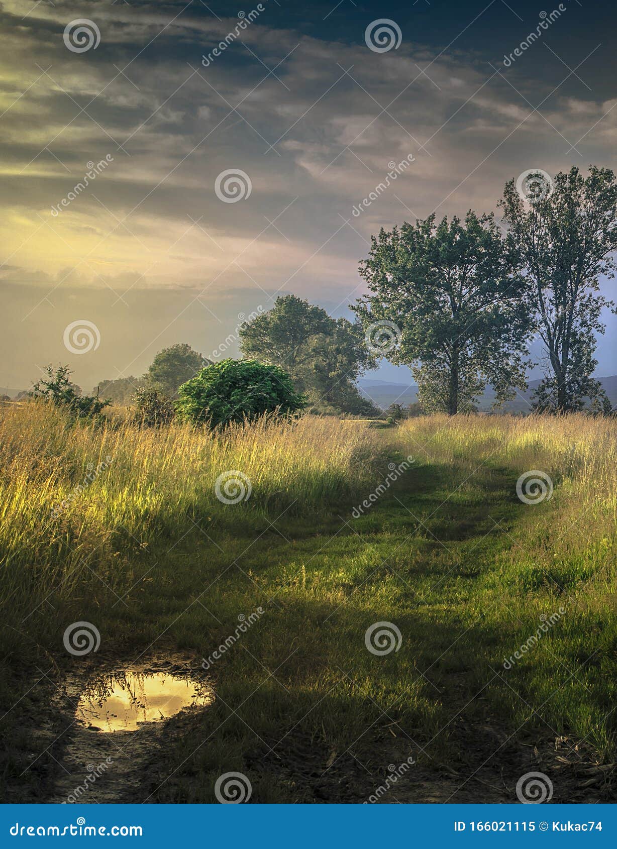 Landscape after rain stock image. Image of life, meadow - 166021115