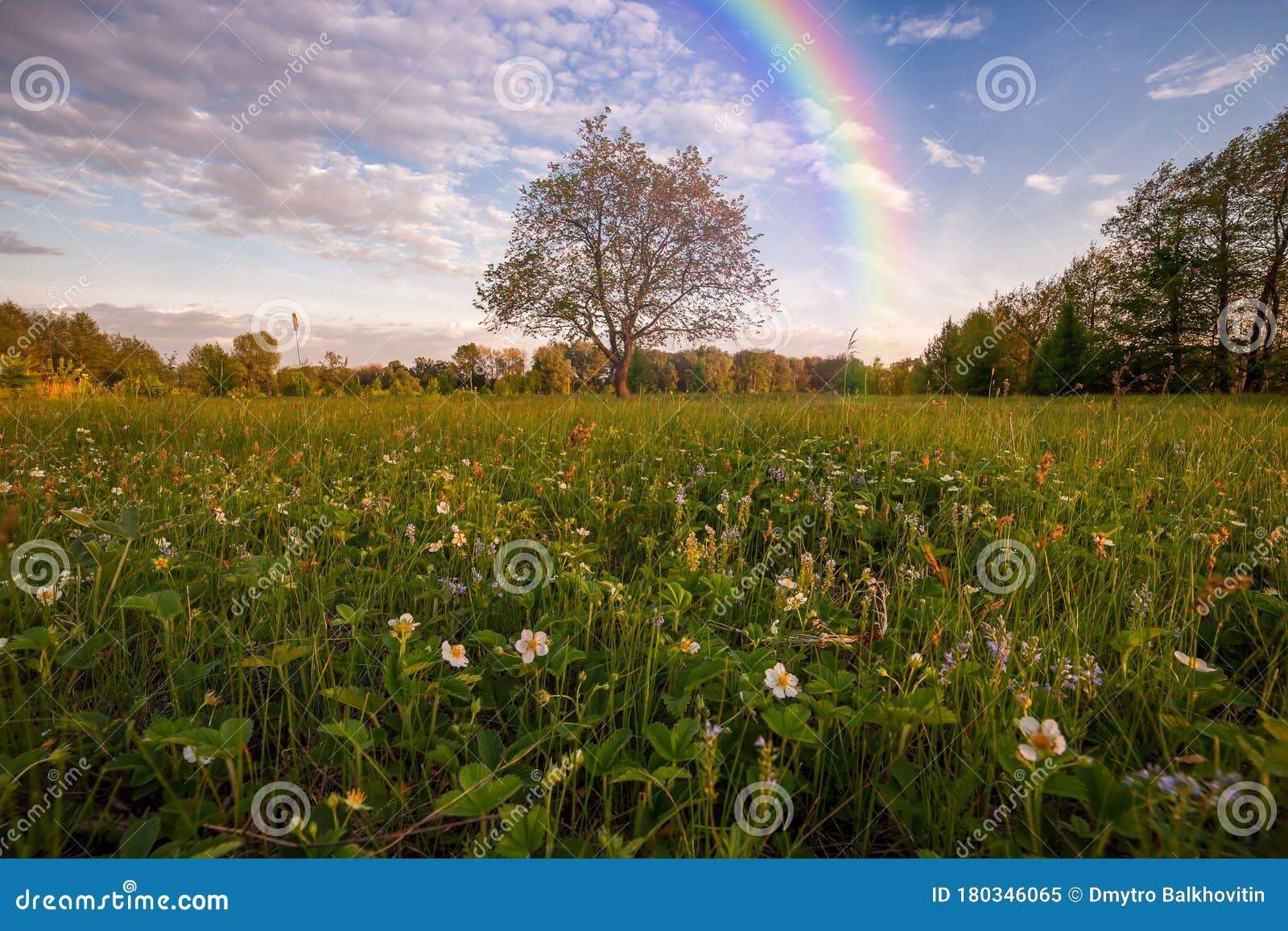 Landscape With Rainbow Royalty-Free Stock Photography | CartoonDealer ...