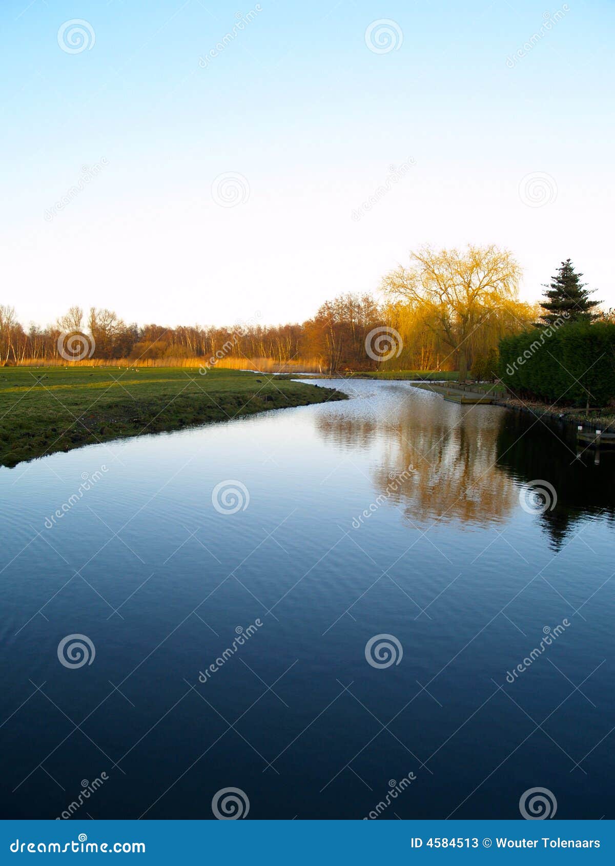 Landscape Reflecting in the Water Stock Image - Image of leaves, hedge ...
