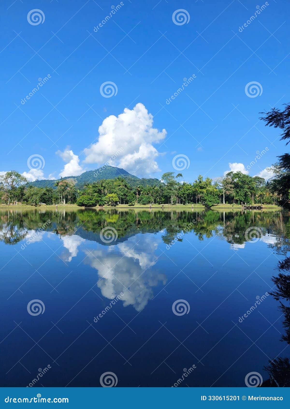 Landscape with Reflection in the Lake Stock Image - Image of ...