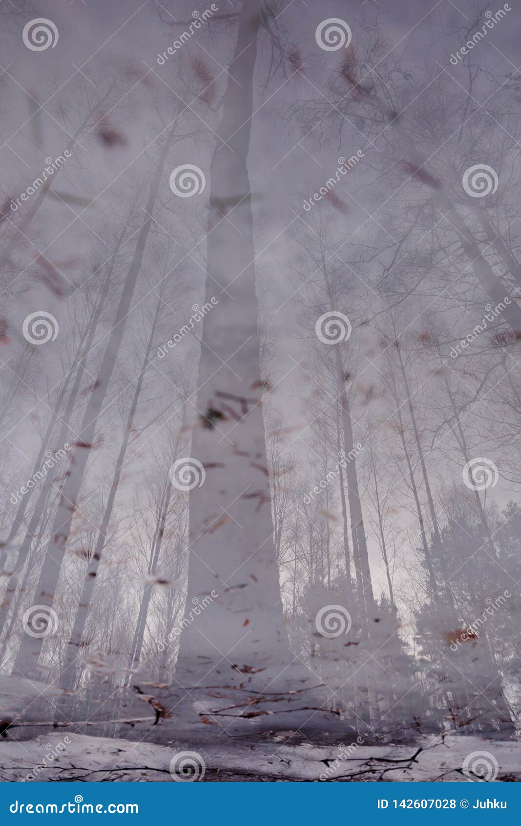Landscape Reflection from Wet Ice Surface at Forest Path Stock Photo ...