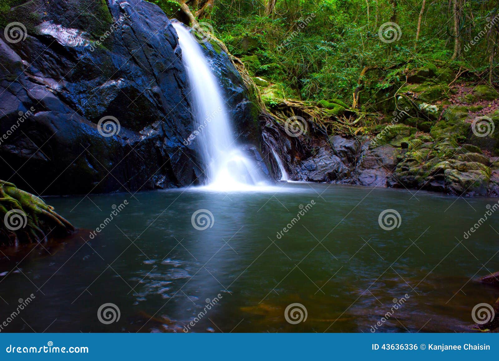 Landscape stock photo. Image of creek, green, trees, wasserfall - 43636336