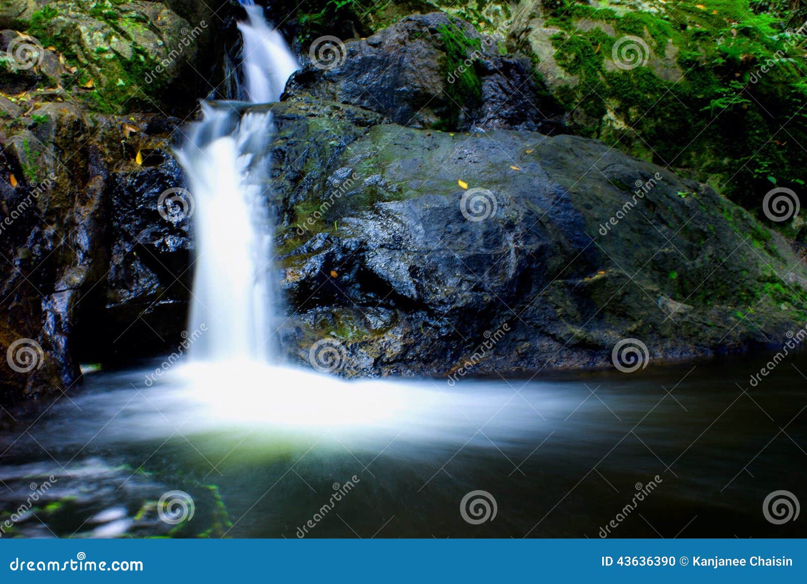 Landscape stock photo. Image of arroyo, moss, vegetation - 43636390