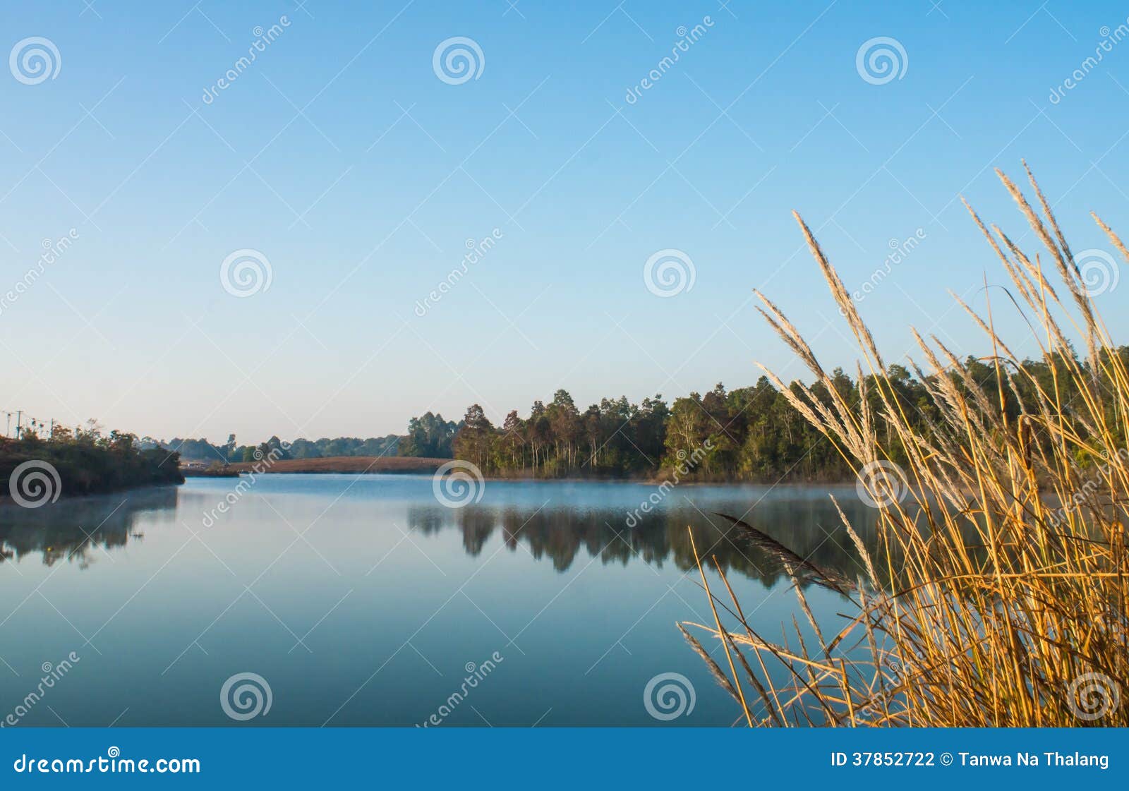 Landscape of reservoir stock photo. Image of reflection - 37852722